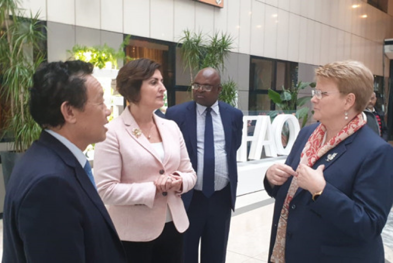 Impacts | Introduction