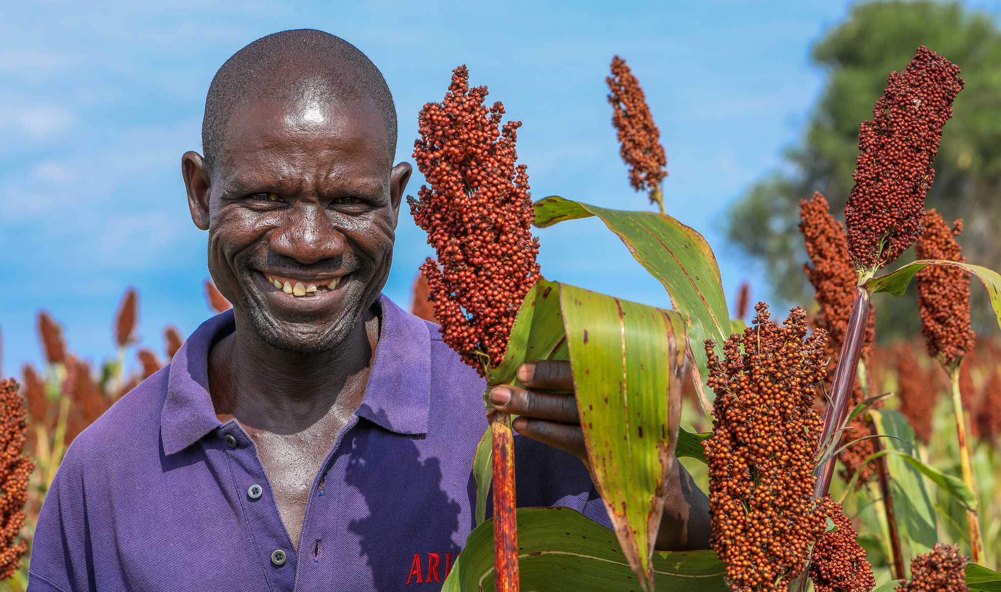 Key Impacts | Climate Action